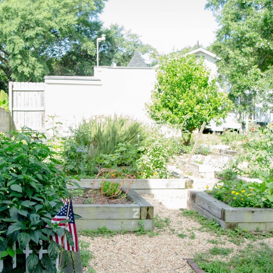 De Tonti Square Park – Downtown Parks Conservancy